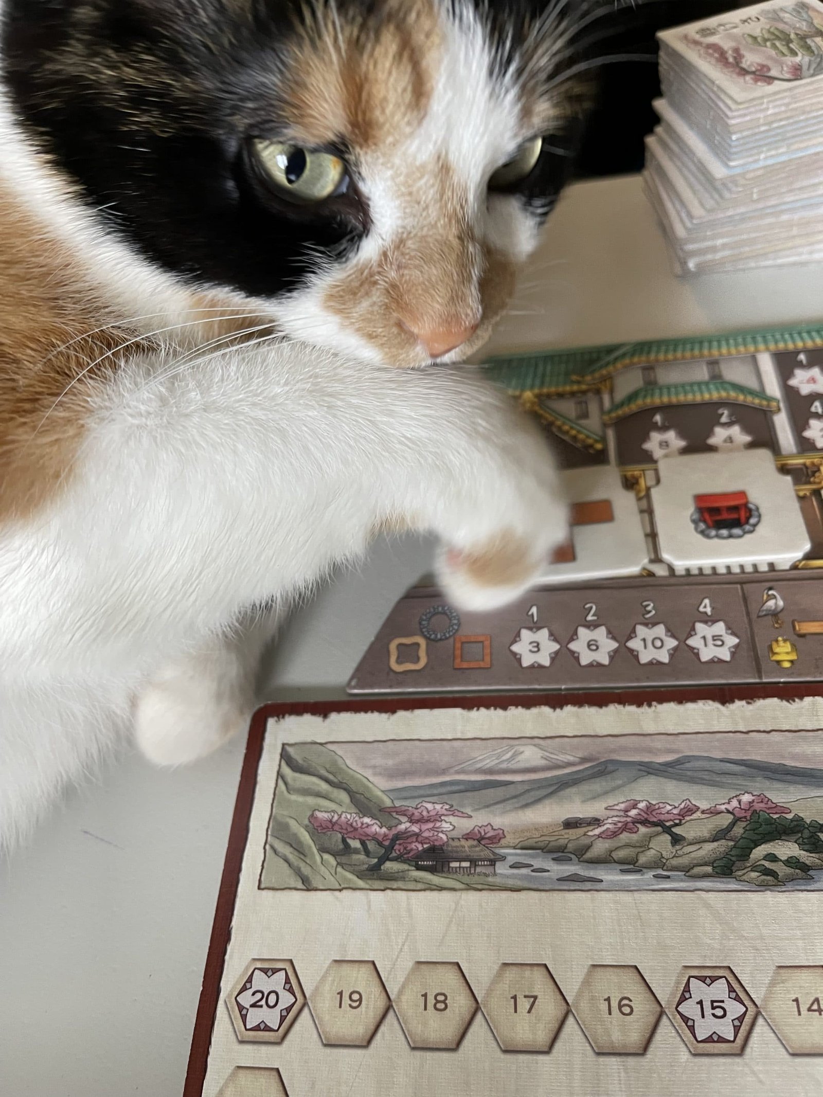 Zen Garden: The Zenist Board Game - Geek to Geek Media